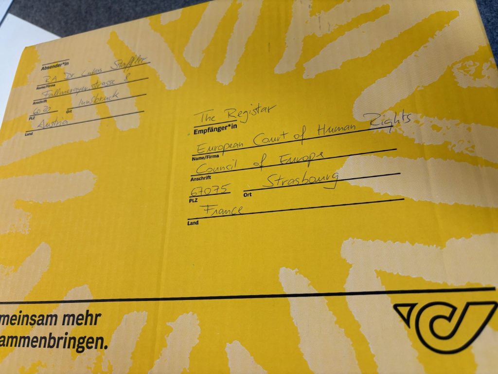 Die Beschwerde beim Europäischen Gerichtshof für Menschenrechte (EGMR ...